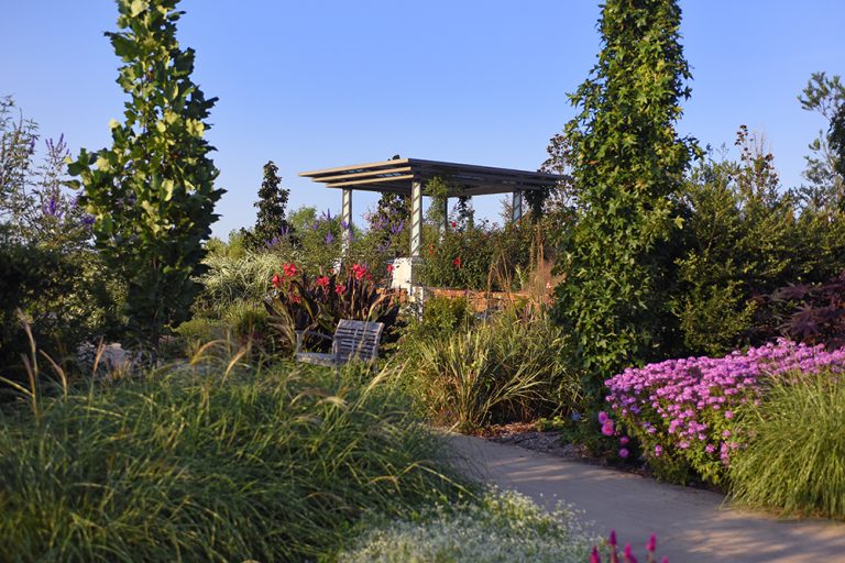 Planning a Year in the Garden – A Virtual Lunch & Learn via Facebook ...