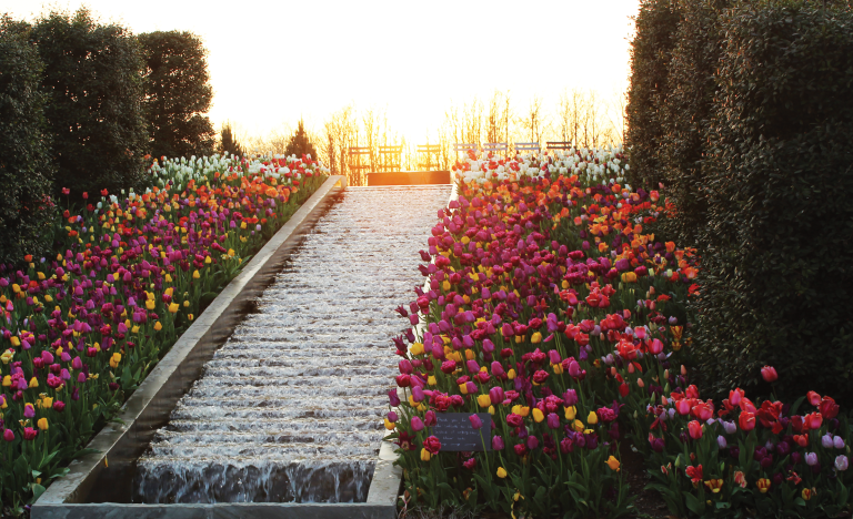 Tulsa Botanic Garden | Tulsa, Oklahoma |Tulsa Botanic Garden