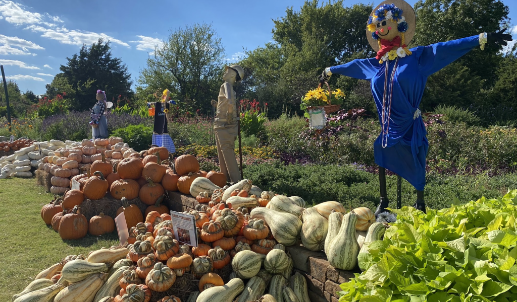 Annual Scarecrow Display Entry Opens August 7th! - Tulsa Botanic ...